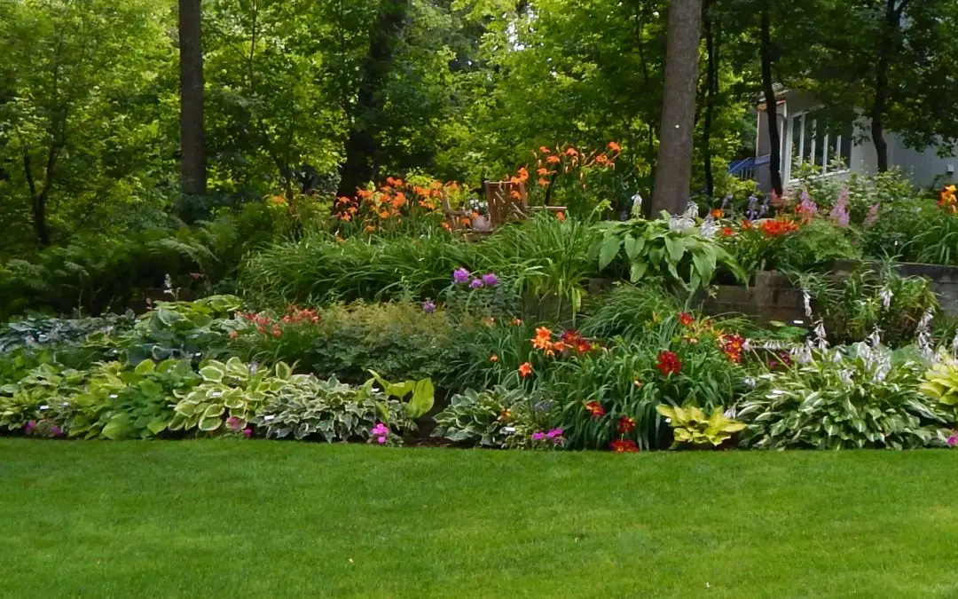 Residential Landscaping in St.Pete & Clearwater - Powell Property (PPM)